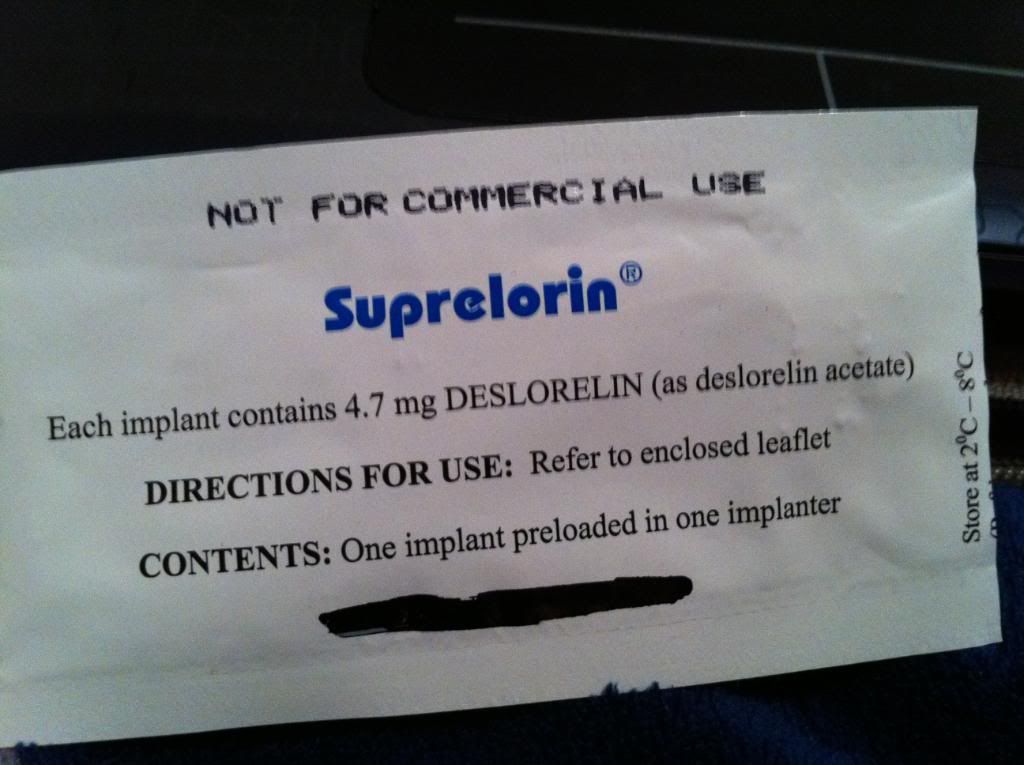 Deslorelin Implant - Pictures and Important Info | The Holistic Ferret Forum
